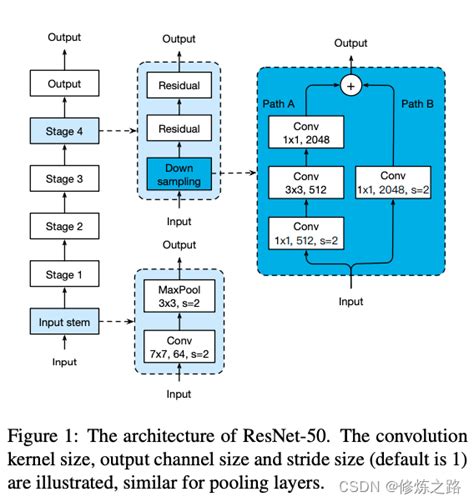 paddlepaddle十二生肖分类之模型 resnet 构建 二 resnet12 csdn博客