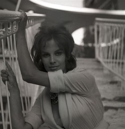 Picture Of Antonella Lualdi