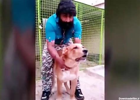 عکس از سگ علی پلنگ