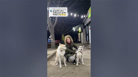 ტორი და ბაკი Youtube