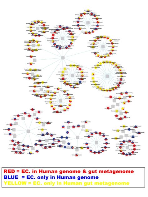 Best Images About Genomic Visualization On Pinterest Dna College Of And Tree Of Life