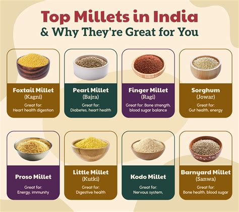 Types Of Millets A Complete Guide To Different Varieties Right Shift