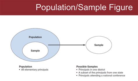 M6 Sampling Flashcards Quizlet