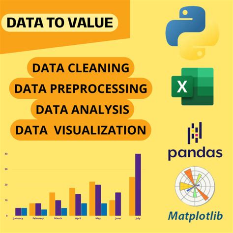 Eda And Data Visualization Using Excel And Python By Musabzahid928 Fiverr