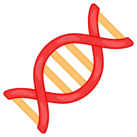 Premium Vector Gene Vector Design Organ System Human Anatomy Human