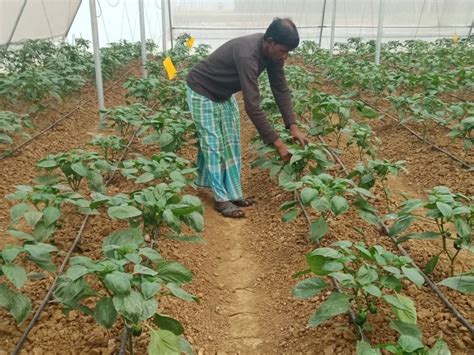 Project Proposal On Sustainable Livelihood Development Upwork Project Proposal On Sustainable Livelihood Development Upwork