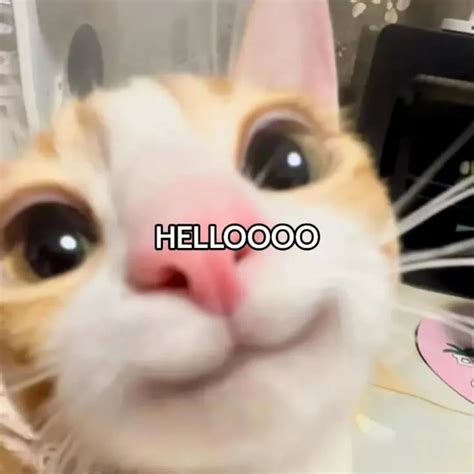 Saying Hello Memes Funny