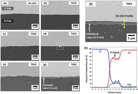 Microstructures Of Twin Roll Cast And Annealed Ti Al Clad Sheets Sem Download Scientific