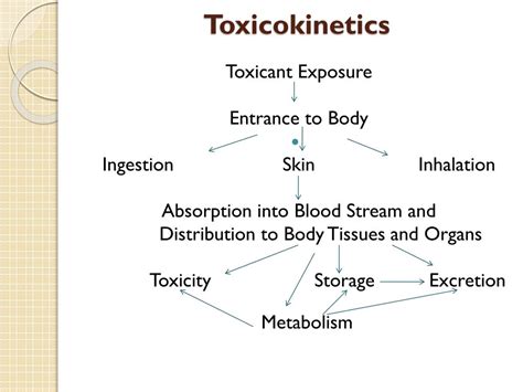 Ppt Concepts And Terminology Powerpoint Presentation Free Download