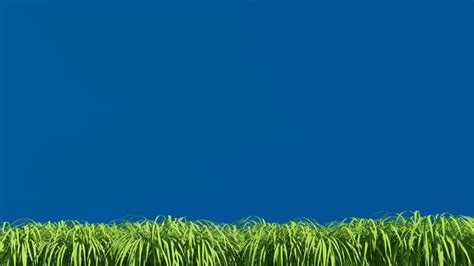 Grass Green Screen Stock Video Footage For Free Download