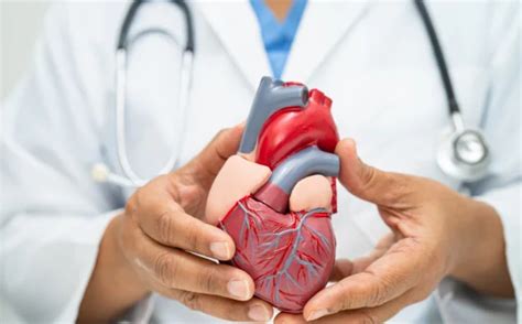 Types Of Asd And Vsd Closure Surgery Medisuggest