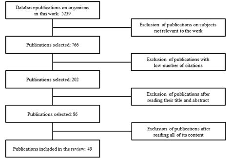 selection scheme of included publications download scientific diagram