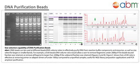 Dna Purification Spri Magnetic Beads