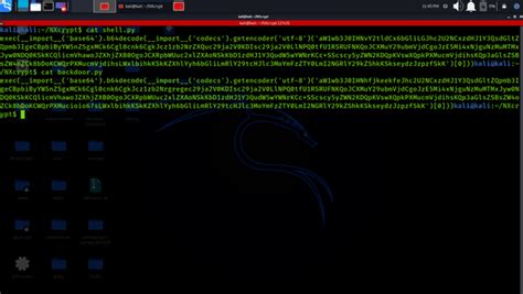 NXcrypt Python Backdoor Framework GeeksforGeeks