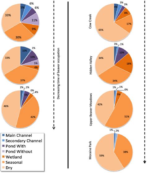Visual Representation Of Surface Spatial Heterogeneity In Relation To