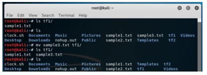 Kali Linux Terminal Working Uses Of Commands In Kali Linux Terminal