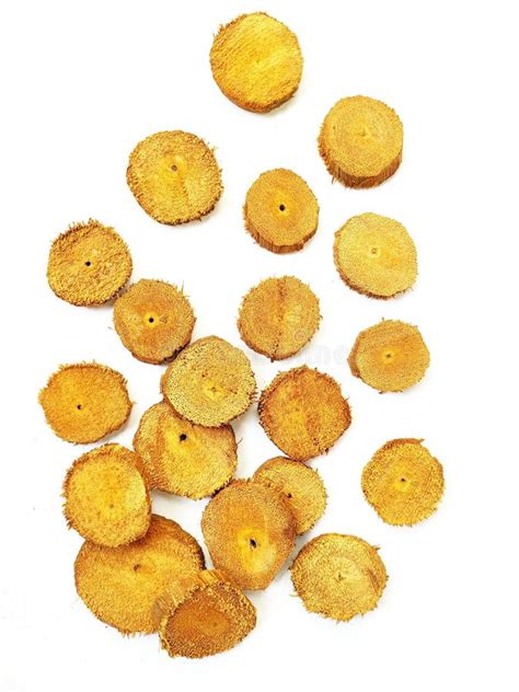 Pieces Of Wood Or Small Branch Stock Image Image Of Isolated Roundabout 284559413