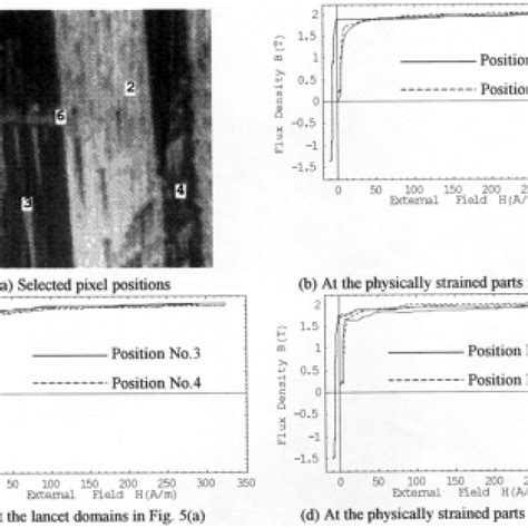 reconstructed domain patterns and magnetization curves download