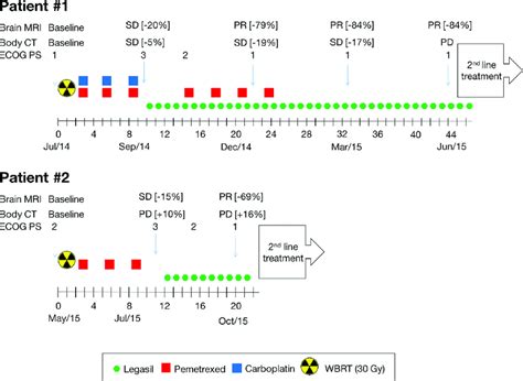Treatment Schema Of NSCLC BM Patients Download Scientific Diagram