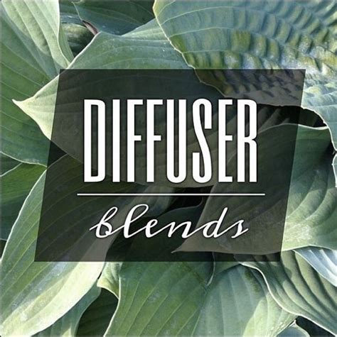 Diffuser Blends To Conquer Tuesday Diffuser Blends Essential Oil