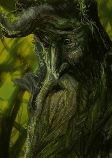 Treebeard By Mental Lighton Deviantart Treebeard Lotr Art Tolkien Art