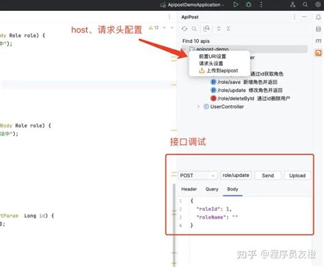 Apipost IDEA插件使用体验支持生成接口文档 知乎