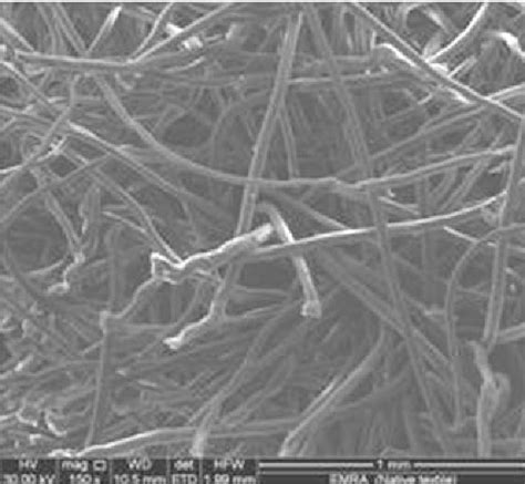 Figure 1 From Novel Porous Al2o3 Sio2 Tio2 Bone Grafting Materials