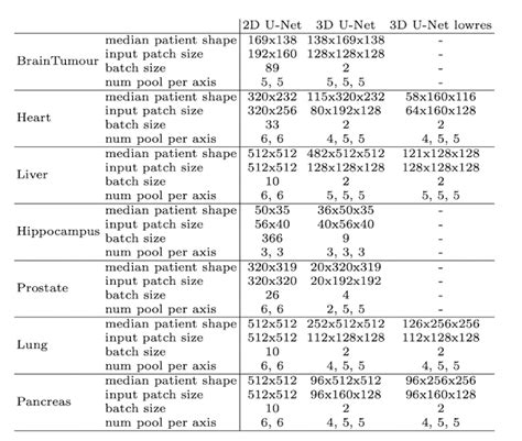 The Ultimate Guide To Nnu Net For State Of The Art Image Segmentation