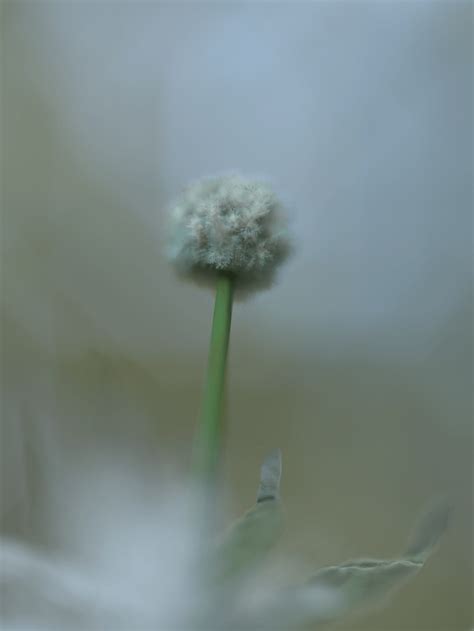 Some Renders Ive Made The Past Few Months R Blenderart