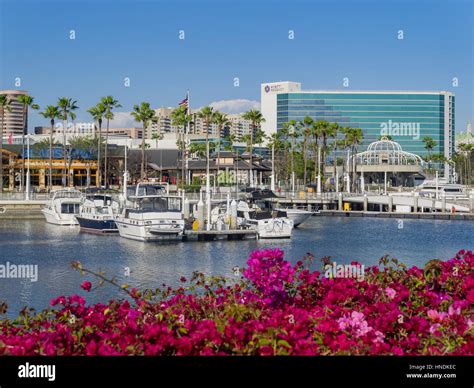Long Beach Mar 14 Beautiful Scene Around Rainbow Harbor On Mar 14