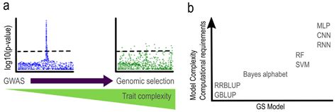 Strategies To Increase Prediction Accuracy In Genomic Selection Of Complex Traits In Alfalfa