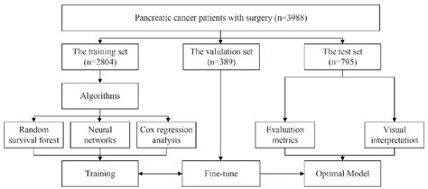 The Flowchart Of Developing Models Download Scientific Diagram