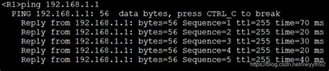 ensp——置通过ftp进行文件操作网络配置 ensp ftp配置 client访问server csdn博客