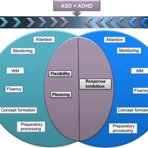 Similarities And Differences In Executive Functioning Between Asd