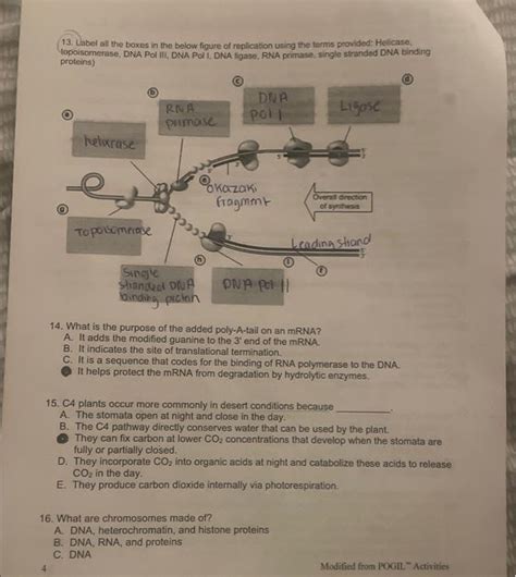 Solved 6 Once Researchers Identified Dna As The Unit Of