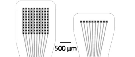 Plan View Schematics Of The Electrode Ends Of Two Different 10 Download Scientific Diagram