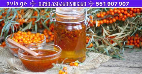 ქაცვის ზეთი ქაცვის ზეთის სახლში მომზადების და გამოყენების მეთოდები Vap Ge