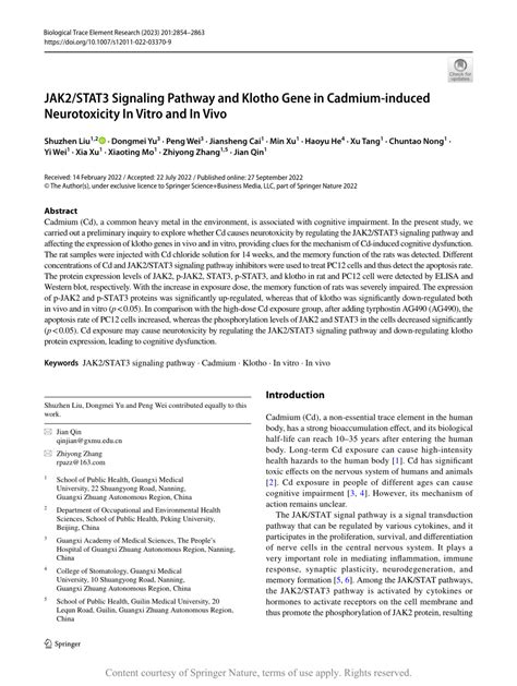 Jak2 Stat3 Signaling Pathway And Klotho Gene In Cadmium Induced Neurotoxicity In Vitro And In