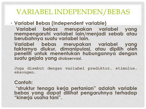 Apa Itu Independent Variable Dan Contohnya Nerveploaty