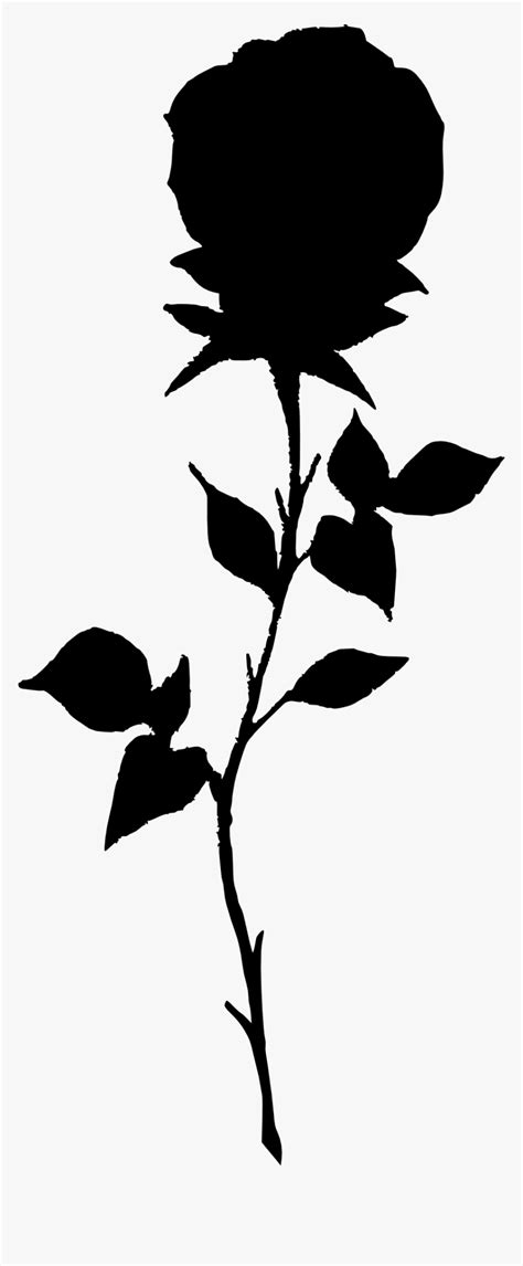 Black Rose No Background Hd Png Download Kindpng