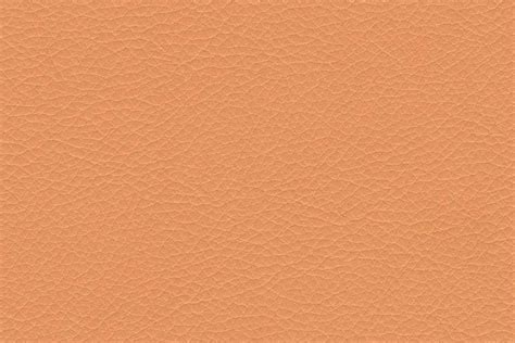 Ofs Evolution Carbon