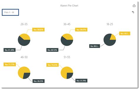 How Can I Create Pie Chart Visual In An Intellifront Bi Dashboard