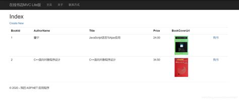 使用aspnet Mvc开发简版在线书店bookshoplite后端mvc5图书商店 Csdn博客