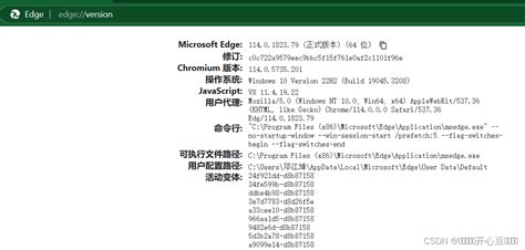 java自动化 操作浏览器 java 操作浏览器 csdn博客