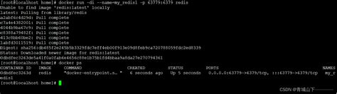 Linux 安装 Docker 并启动一个web项目docker启动项目 Csdn博客