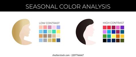 2 low color contrast color analysis stock vectors and vector art