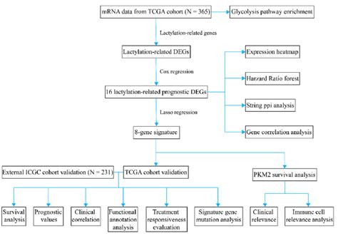 Study Workflow Diagram Download Scientific Diagram Study Workflow Diagram Download Scientific Diagram