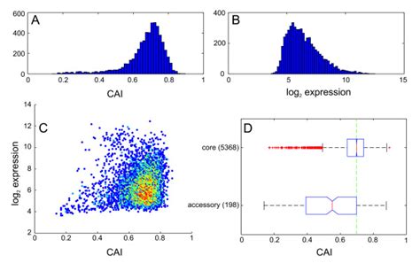 codon adaptation index is high in p aeruginosa and independent of gene