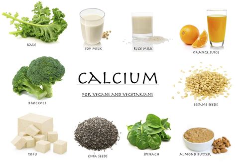 5 Calcium Rich Foods For Building Bones Healthyroots