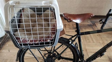 Установка переноски для собаки на велосипед — Pet-Trips